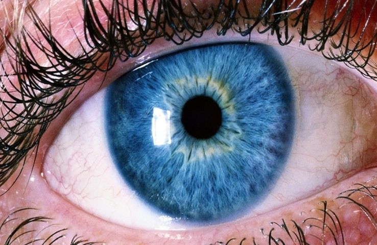 Ozempic Vision Loss Help (Small) | Low Vision Specialists